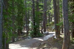 Alberta Falls is one of the most popular hiking destinations in RMNP.