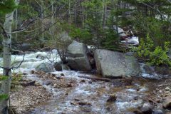 Alberta Falls is one of the most popular hiking destinations in RMNP.