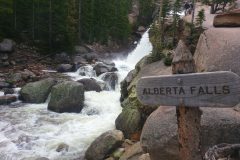 Alberta Falls is one of the most popular hiking destinations in RMNP.