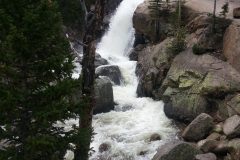 Alberta Falls is one of the most popular hiking destinations in RMNP.
