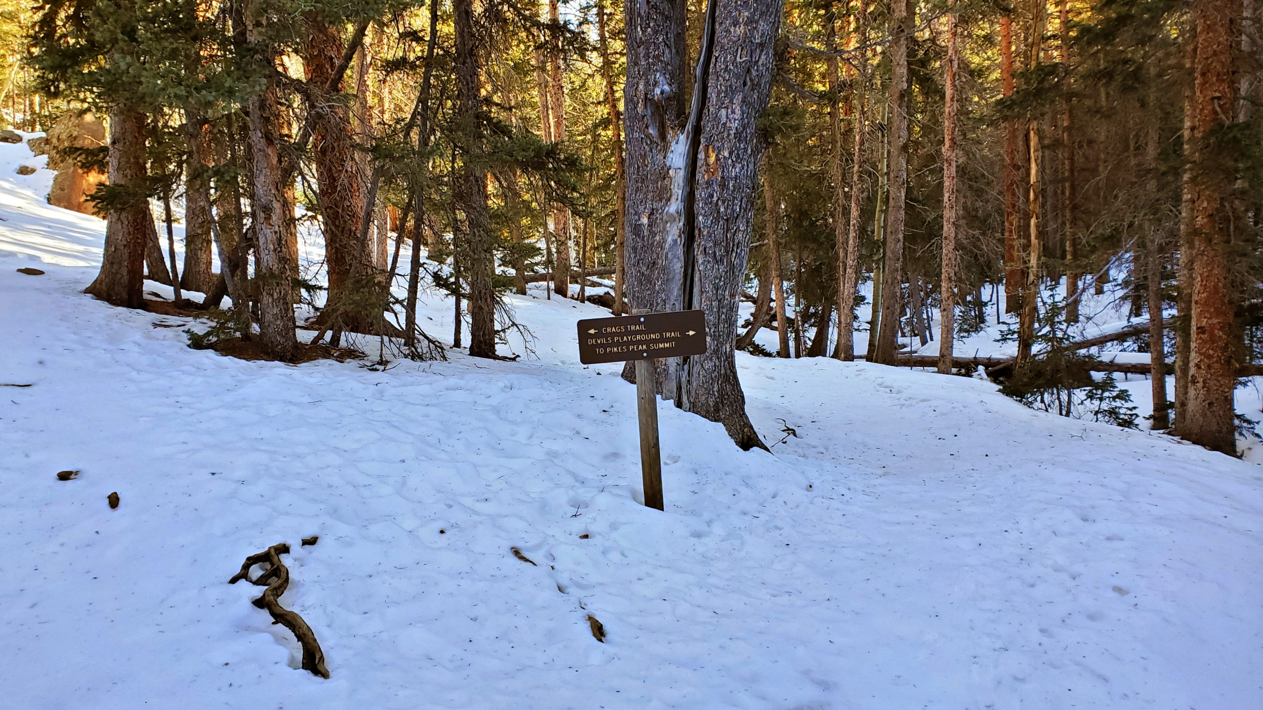 The Crags trail near Colorado Springs is a great hike any time of year.